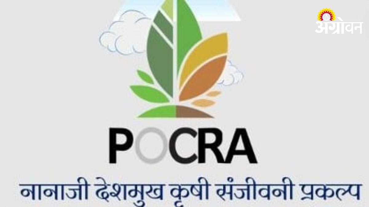 POCRA 2 | पहिल्या अनुभवातून तयार होणार ‘पोकरा- २’चा आराखडा | The plan ...
