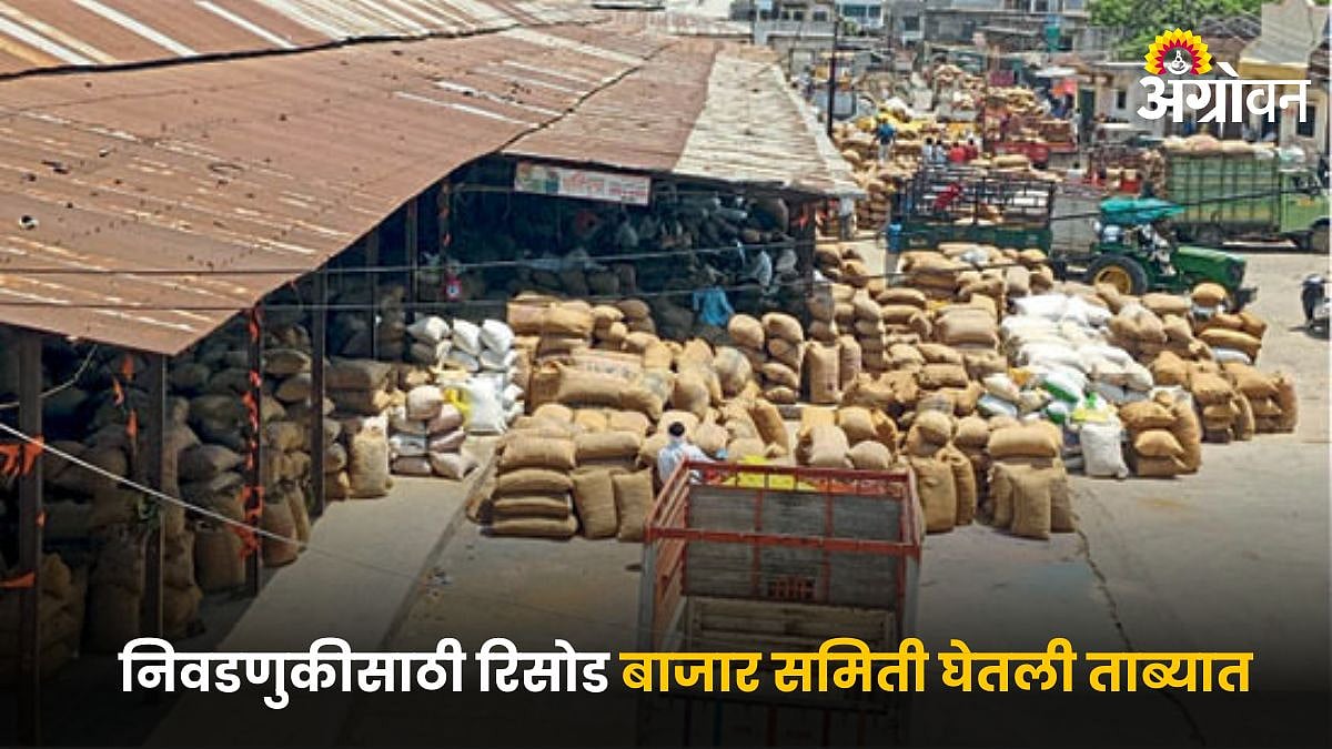 Risod APMC | निवडणुकीसाठी रिसोड बाजार समिती घेतली ताब्यात | The Risod ...