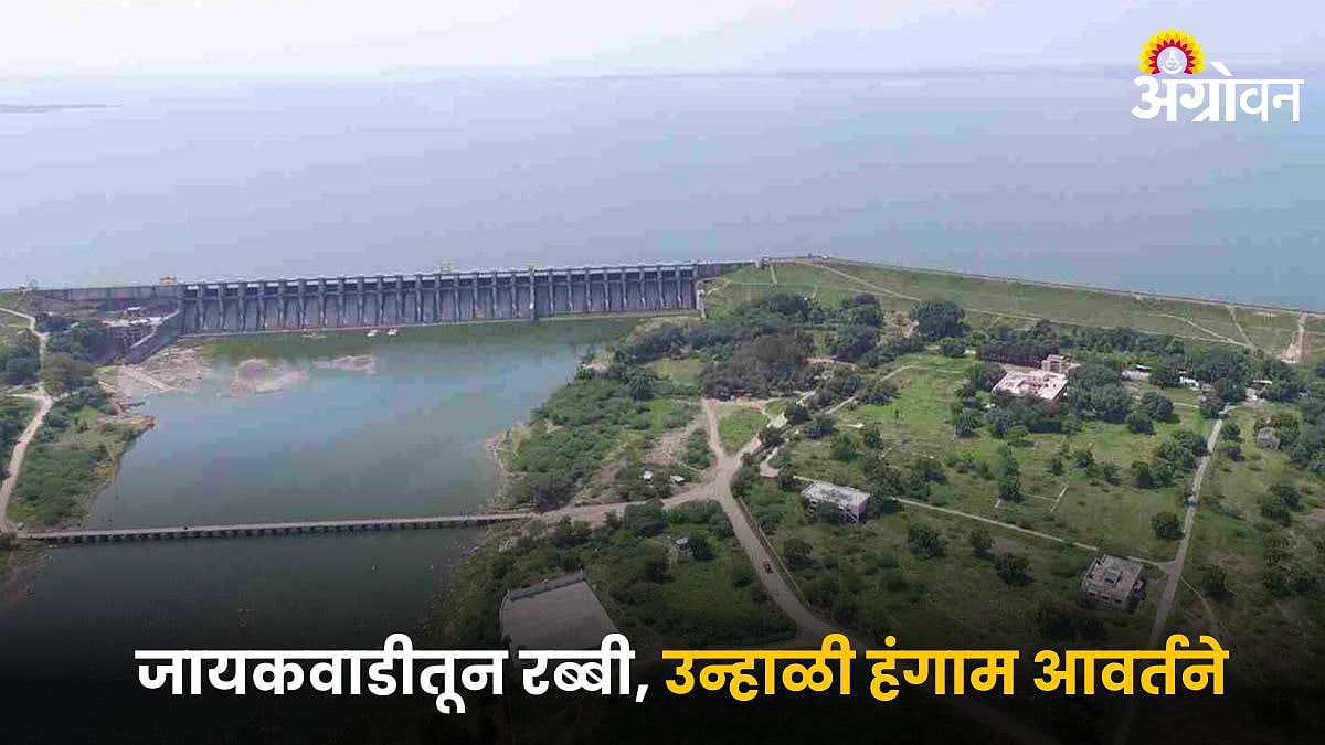 Jayakwadi Dam | जायकवाडीतून रब्बी, उन्हाळी हंगाम आवर्तने | Water ...