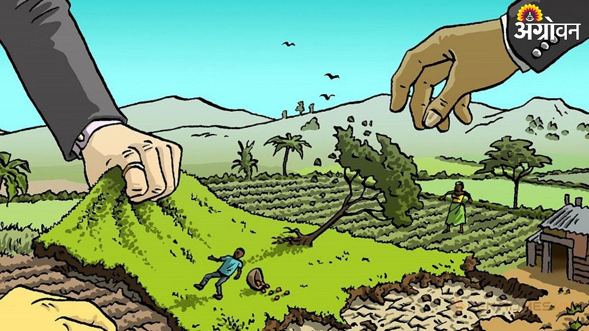 Land Compensation । जमीन गेली, धड नोकरीही नाही । Land Compensation Land ...