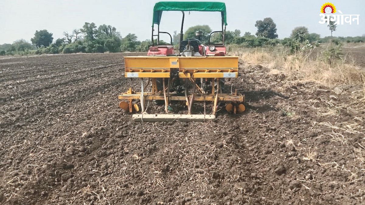 BBF Sowing । बीबीएफद्वारे पेरणीवर भर । Emphasis on sowing by BBF