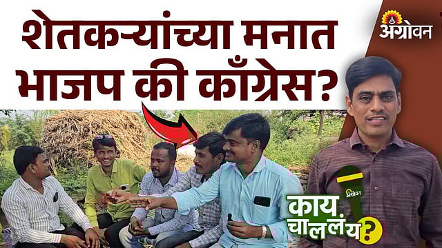 Agrowon - Latest Agriculture News in Marathi | कृषीविषयक बातम्या