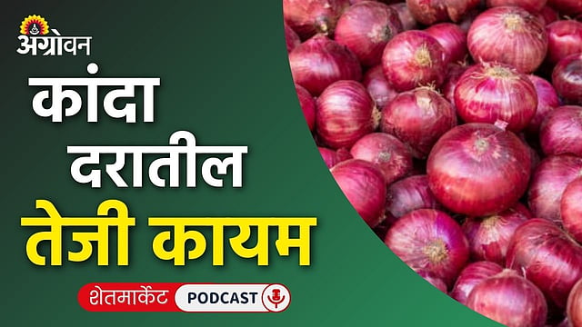 Agrowon - Latest Agriculture News in Marathi | कृषीविषयक बातम्या