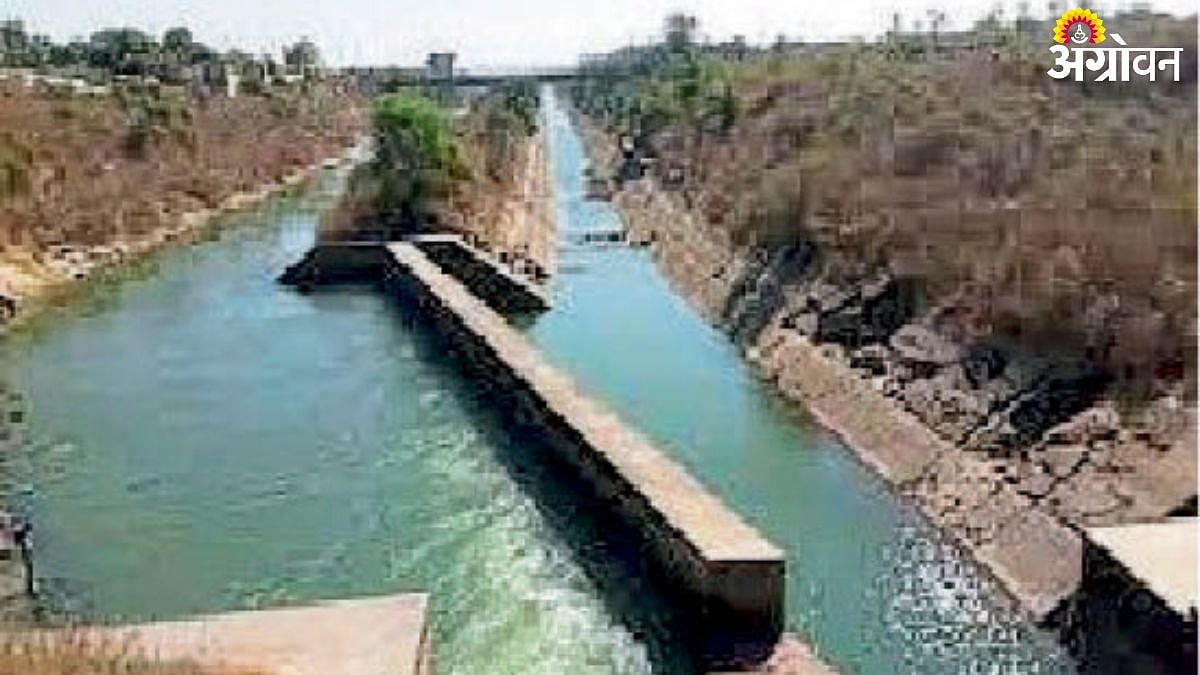 Irrigation Project । ताकारी, टेंभू, म्हैसाळचे ६२ कोटींचे वीजबिल ...