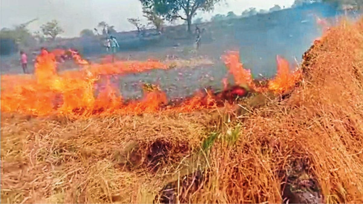 Wild Fire : मानवनिर्मित वणवे निसर्गाच्या जिवावर ; जैवविविधतेच्या ...