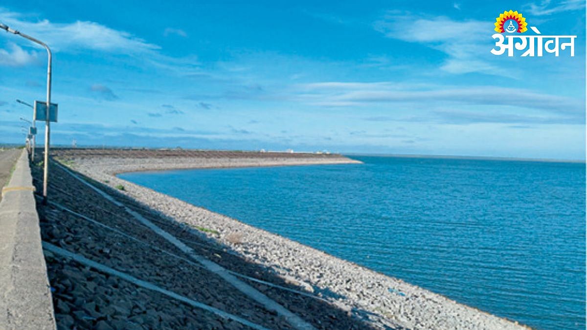 Water Storage । लघु प्रकल्पातील पाणीसाठा जोत्याखालीच । low water ...