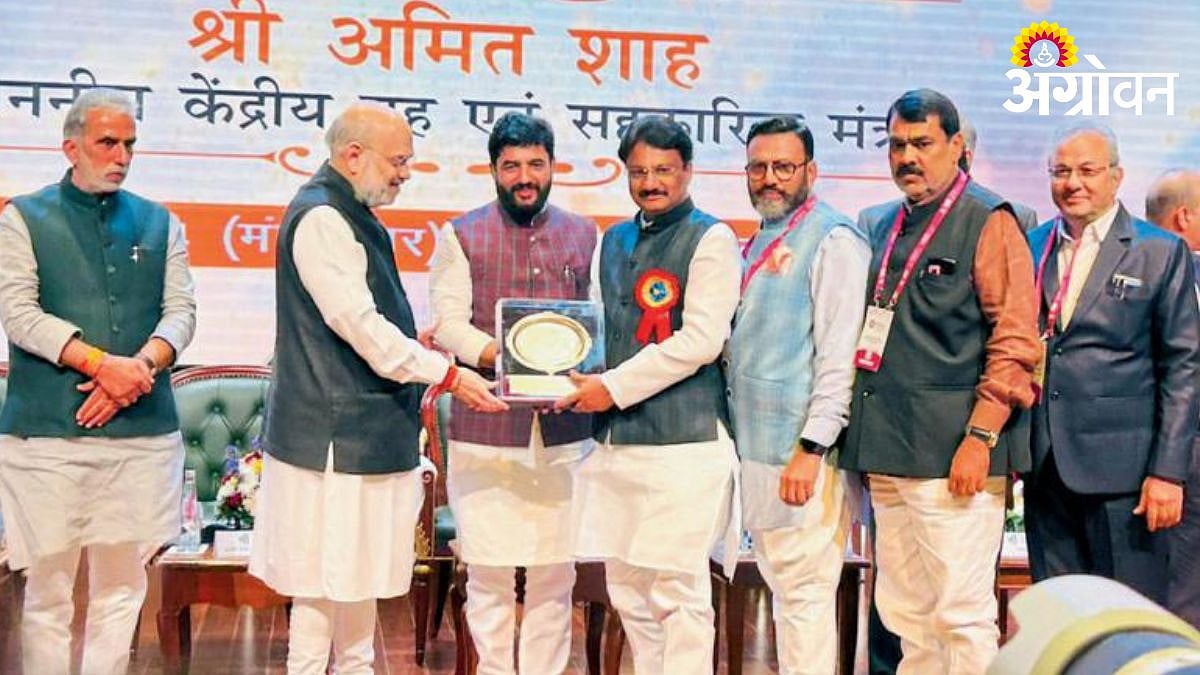 Satara DCC Bank । सातारा जिल्हा बँकेला ‘सर्वोत्कृष्ट बँक’ पुरस्कार ...