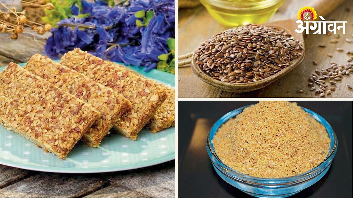 Linseed Health Benefits । आरोग्यदायी जवसापासून बर्फी, चटणी । Health ...