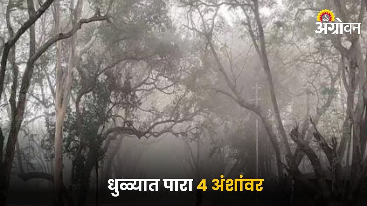 Maharashtra Weather | धुळ्यात पारा ४ अंशांवर | Temperature in Dhule ...