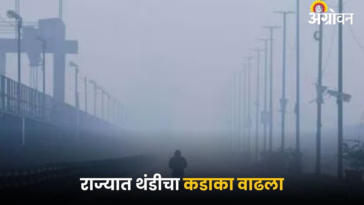 Maharashtra Cold Wave | राज्यात थंडीचा कडाका वाढला; बहुतांशी भागात ...