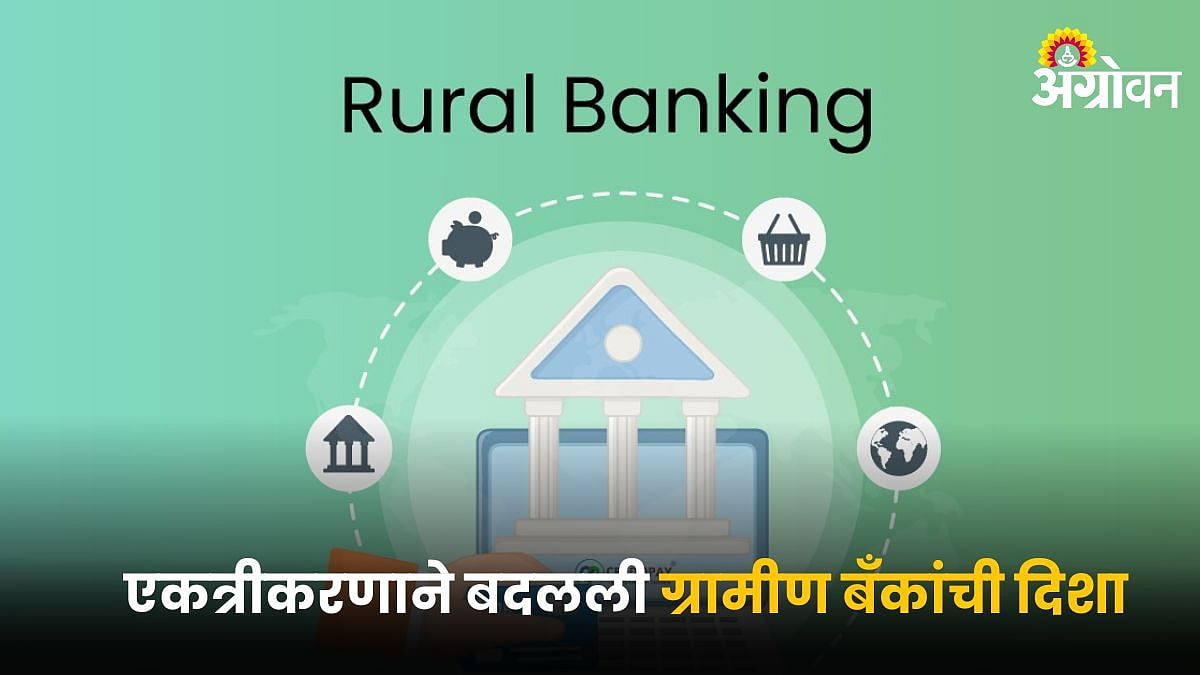 Rural Banking System | एकत्रीकरणाने बदलली ग्रामीण बँकांची दिशा ...
