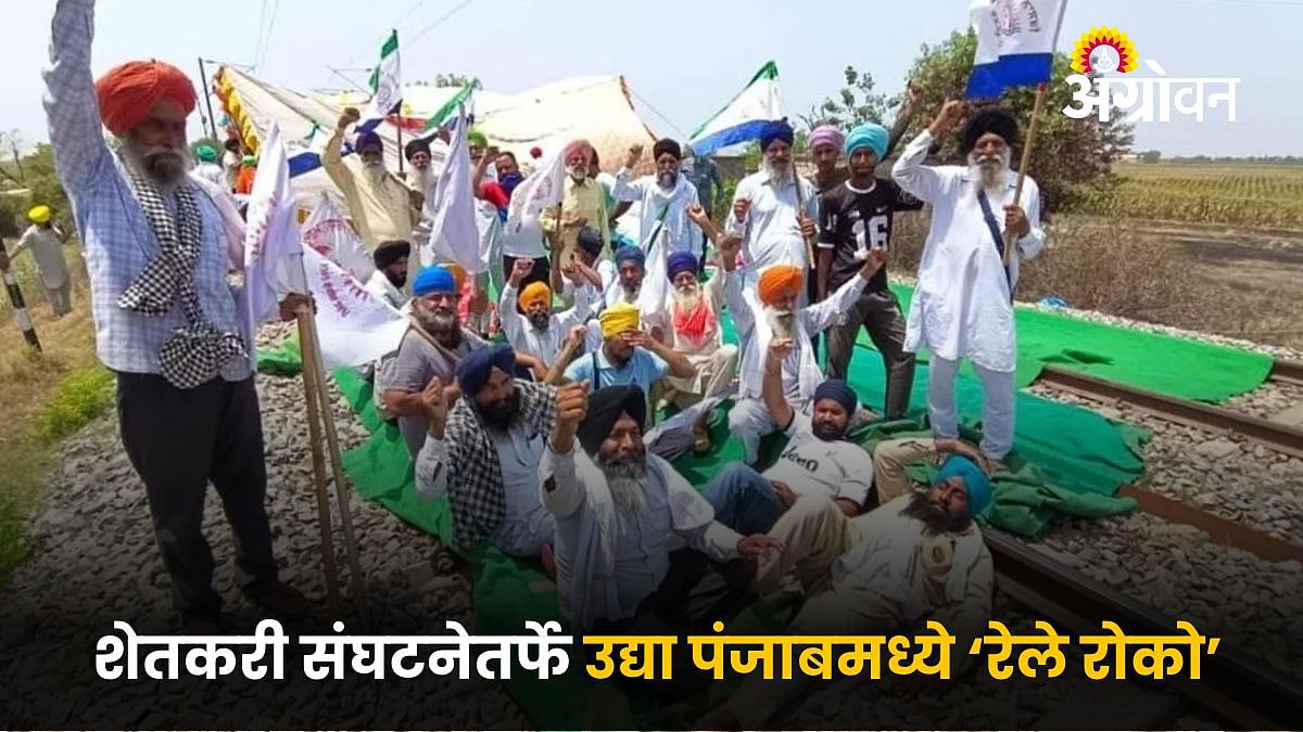 Farmers Rail Roko Protest | शेतकरी संघटनेतर्फे उद्या पंजाबमध्ये ‘रेले ...