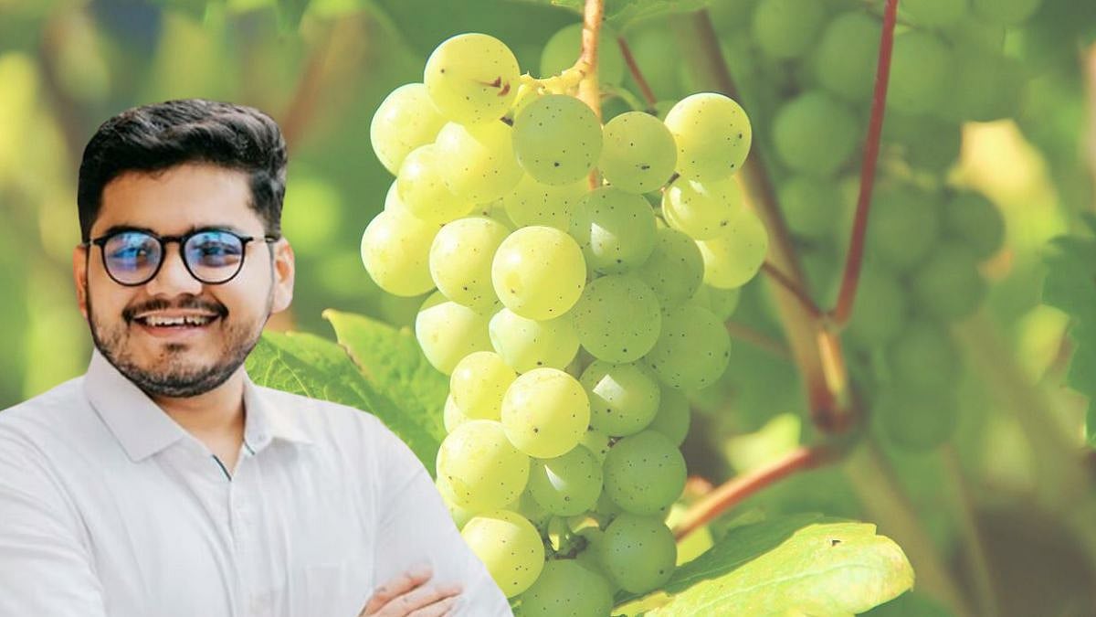 Rohit Patil : द्राक्ष बागायदारांचं कंबरडं मोडलं; विमा कंपन्यांची ...