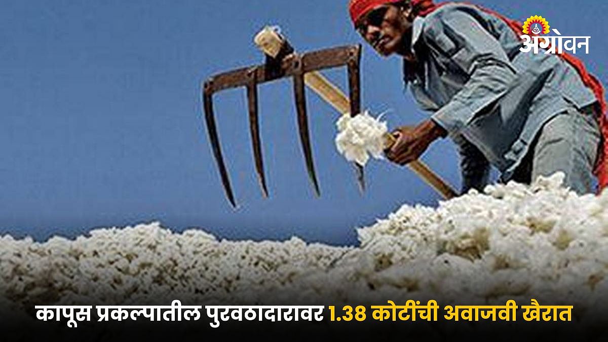 Cotton Project | कापूस प्रकल्पातील पुरवठादारावर १.३८ कोटींची अवाजवी ...