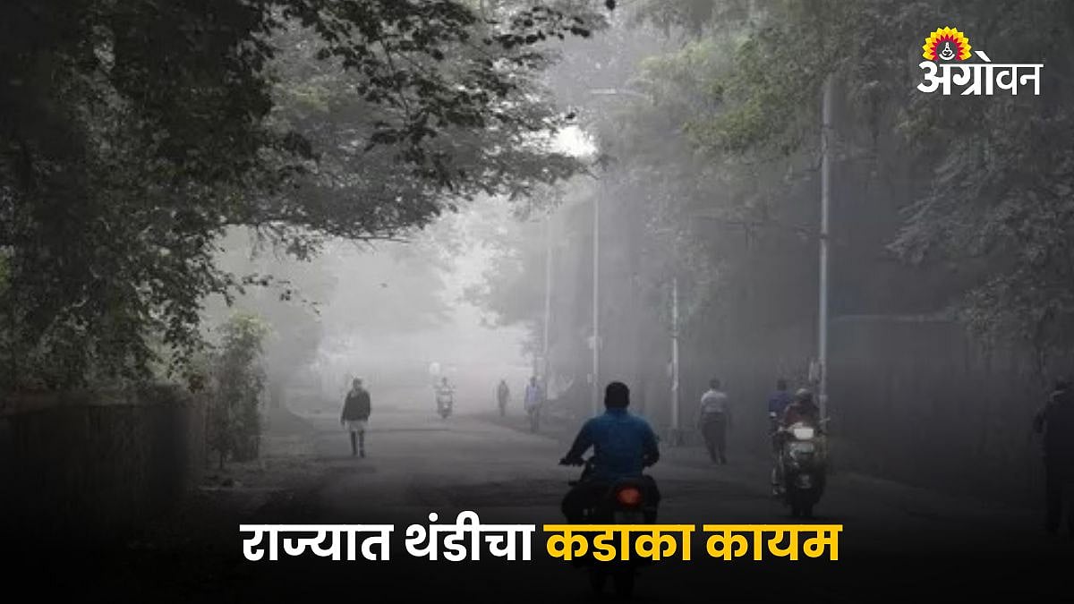 Maharashtra Cold Weather | राज्यात थंडीचा कडाका कायम | Severe Cold Wave ...