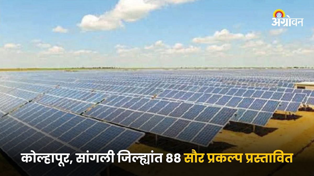 Solar Project | कोल्हापूर, सांगली जिल्ह्यांत ८८ सौर प्रकल्प प्रस्तावित ...