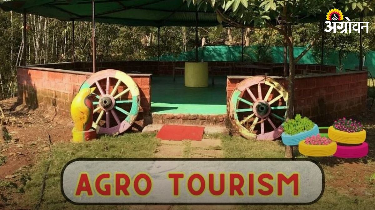 Agricultural Tourism | कृषी पर्यटनाच्या माध्यमातून रोजगार निर्मितीला ...