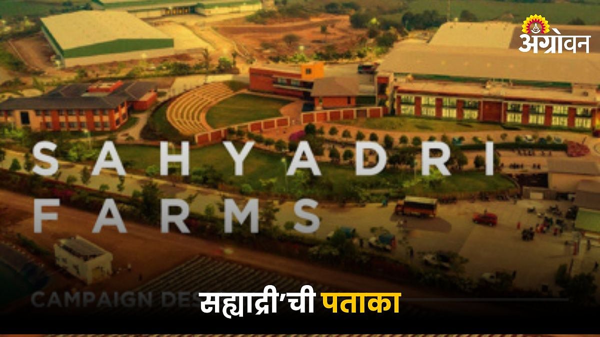 Sahyadri Farm | सह्याद्री’ची पताका | The Flag of Sahyadri: A Symbol of ...