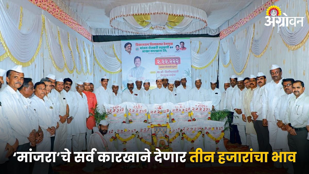 Sugarcane FRP | ‘मांजरा’चे सर्व कारखाने देणार तीन हजारांचा भाव | All ...