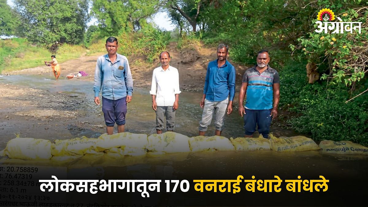 Water Bunds | खामगावात लोकसहभागातून 170 वनराई बंधारे बांधले | 170 ...