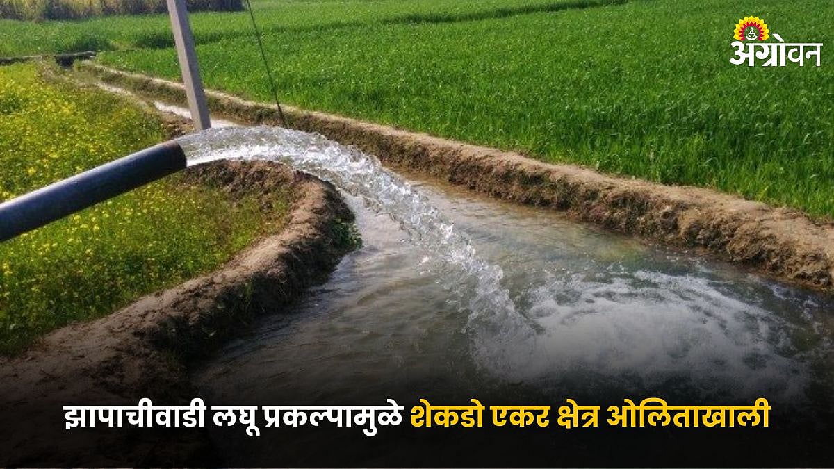 Micro Irrigation Project | झापाचीवाडी लघू प्रकल्पामुळे शेकडो एकर ...