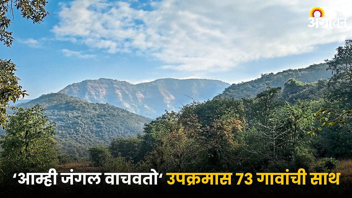 Forest Protection | ‘आम्ही जंगल वाचवतो‘ उपक्रमास ७३ गावांची साथ | We ...