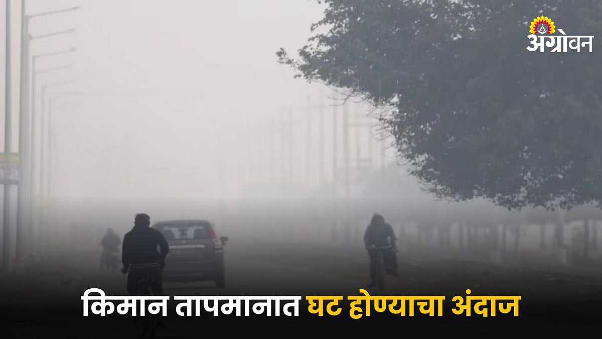 Maharashtra Cold Wave | किमान तापमानात घट होण्याचा अंदाज | Maharashtra ...