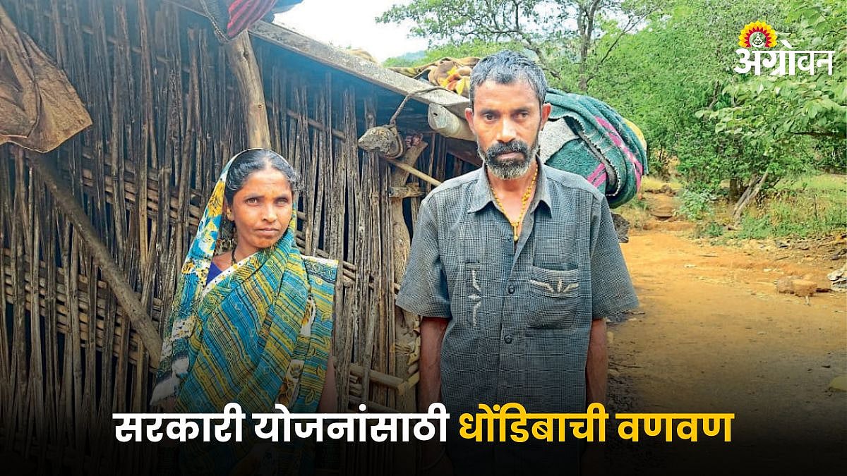 Farmer Issue | सरकारी योजनांसाठी धोंडिबाची वणवण | Dhondiba’s Struggle ...
