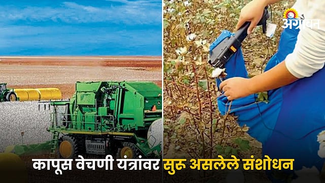 Agrowon - Latest Agriculture News in Marathi | कृषीविषयक बातम्या