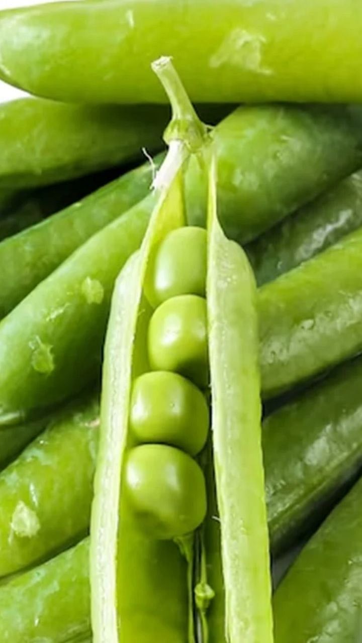 Peas Eating : मटारचे नियमीत सेवन केल्यास ५ फायदे नक्कीच मिळतील|Regular ...