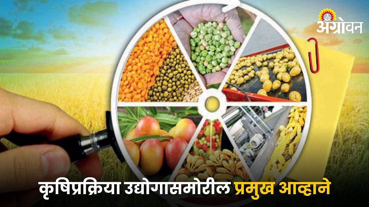 Agriculture Processing Industry | कृषिप्रक्रिया उद्योगासमोरील प्रमुख आव्हाने | Major Challenges ...