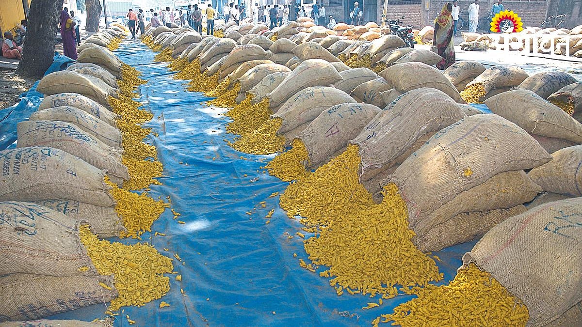 Turmeric rate today। हळद बाजारात यंदाही तेजीचे वारे : Bullish Trends ...
