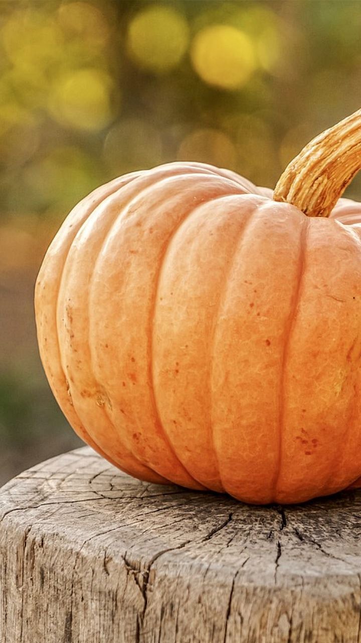 Pumpkin Benefits : भोपळा खाण्याचे ५ आरोग्यदायी फायदे, पचनसंस्था होईल ...