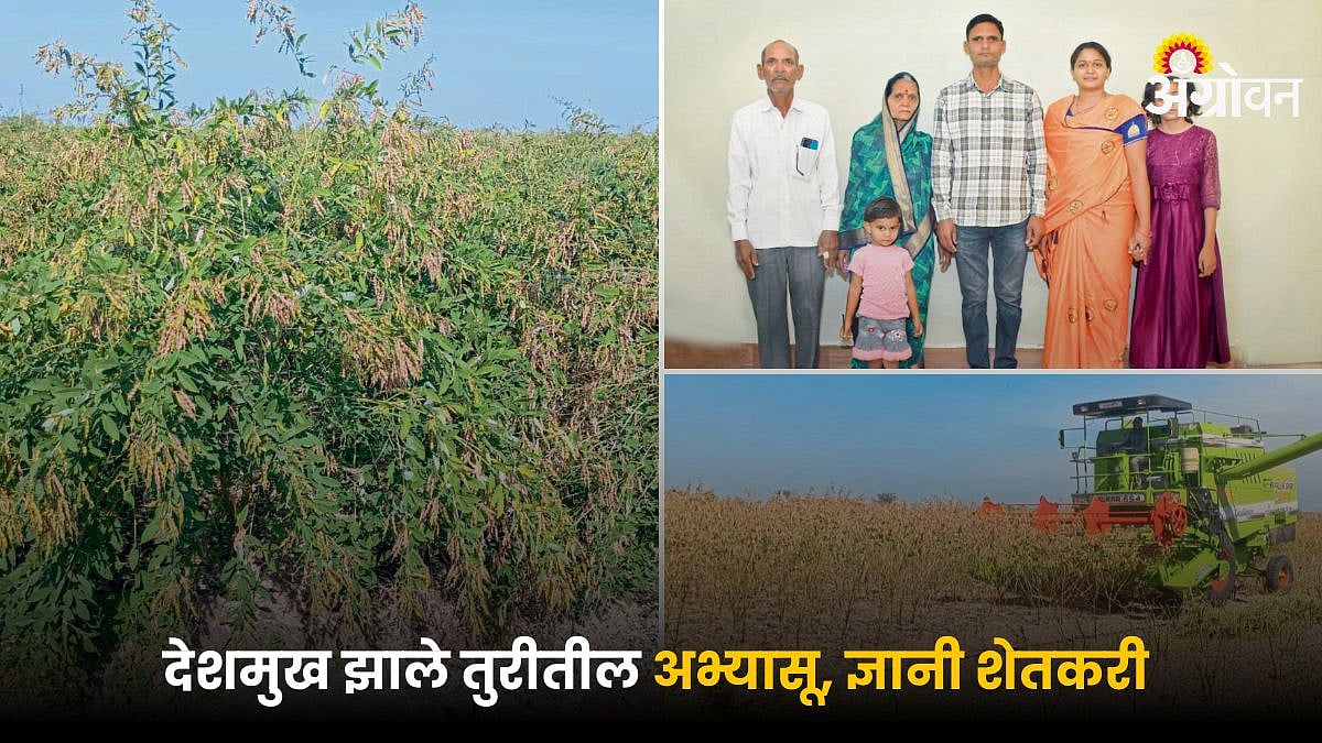 Tur Crop Farming | देशमुख झाले तुरीतील अभ्यासू, ज्ञानी शेतकरी ...