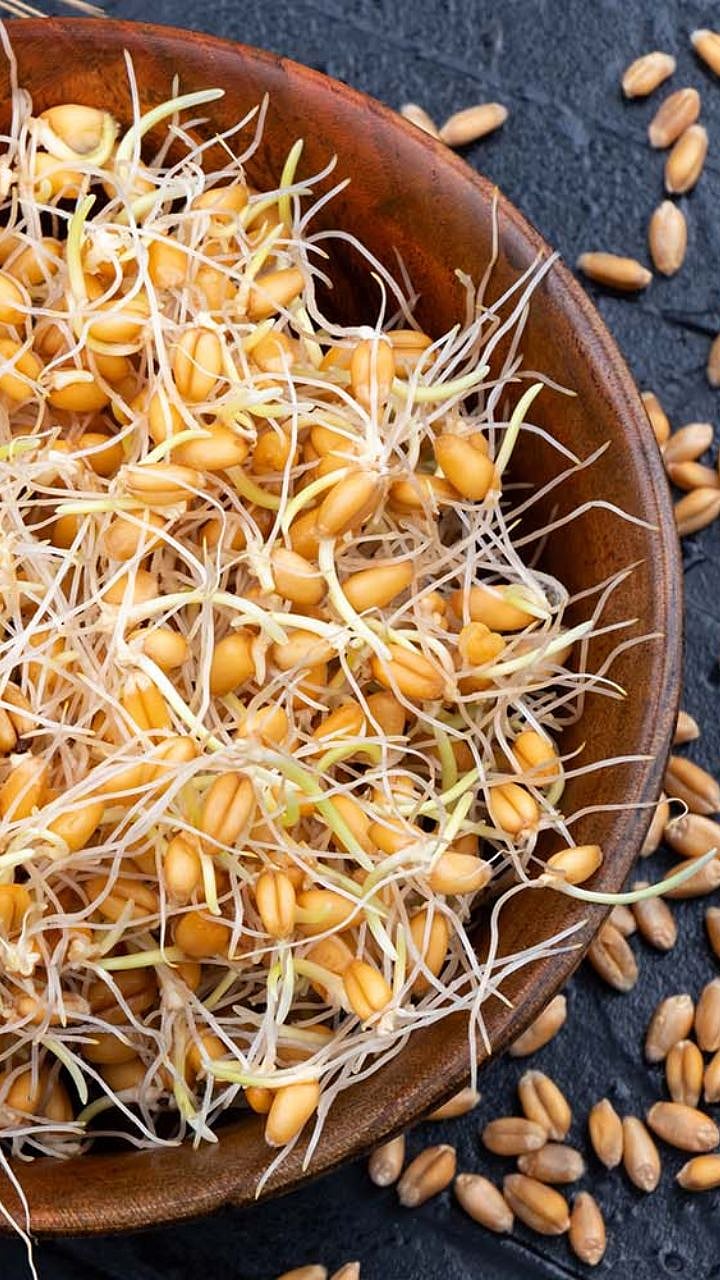 Sprouted Wheat : मोड आलेले गहू खात नसाल तर खायला सुरू करा, काही दिवसात ...