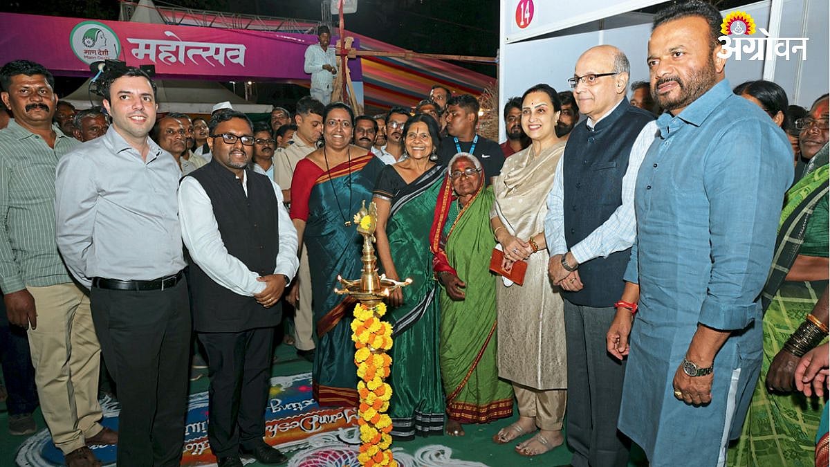 Mandeshi Festival |माणदेशी महोत्सवाचा सांस्कृतिक क्षेत्रात ठसा | A ...