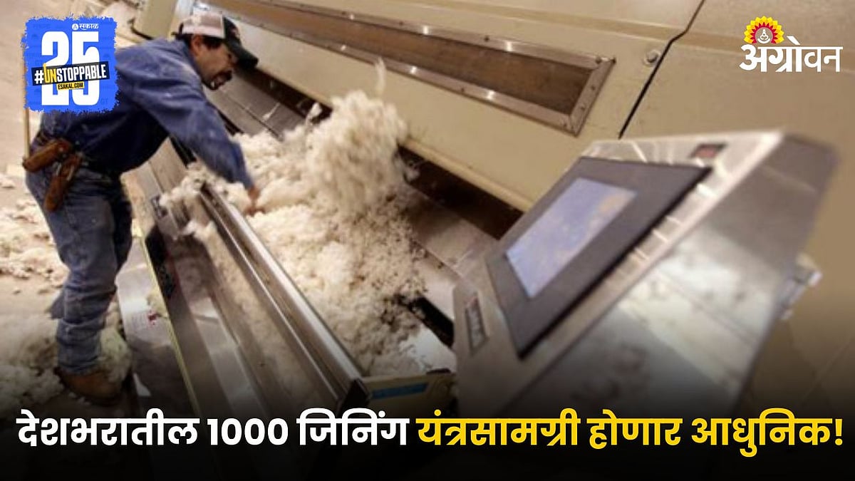 Cotton Ginning Modernization | देशभरातील एक हजारावर जिनिंगचे होणार ...