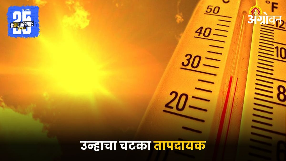 Maharashtra Heatwave | उन्हाचा चटका तापदायक, पुण्यात ३५.७ अंश सेल्सिअस तापमानाची नोंद! | Rising ...