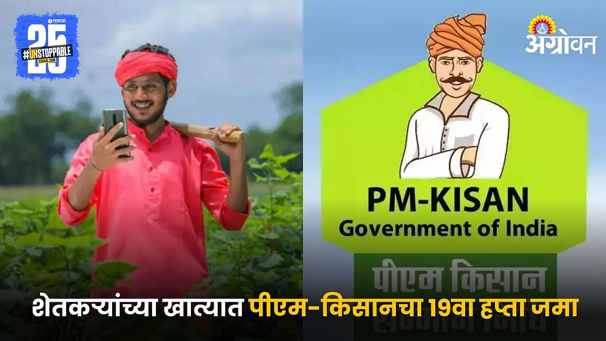 PM Kisan Scheme | शेतकऱ्यांच्या खात्यात पीएम-किसानचा १९वा हप्ता जमा; ९२ ...
