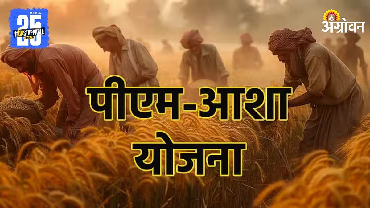 PM Asha Scheme | ‘पीएम आशा’ का रुसली? सरकारच्या धोरणामुळे सोयाबीन ...