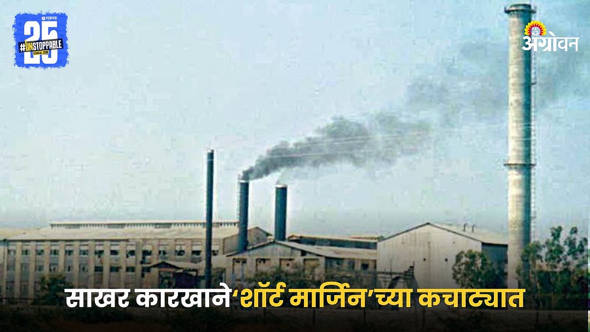 Sugar Industry Crisis |‘शॉर्ट मार्जिन’मुळे; साखर कारखाने अडचणीत ...