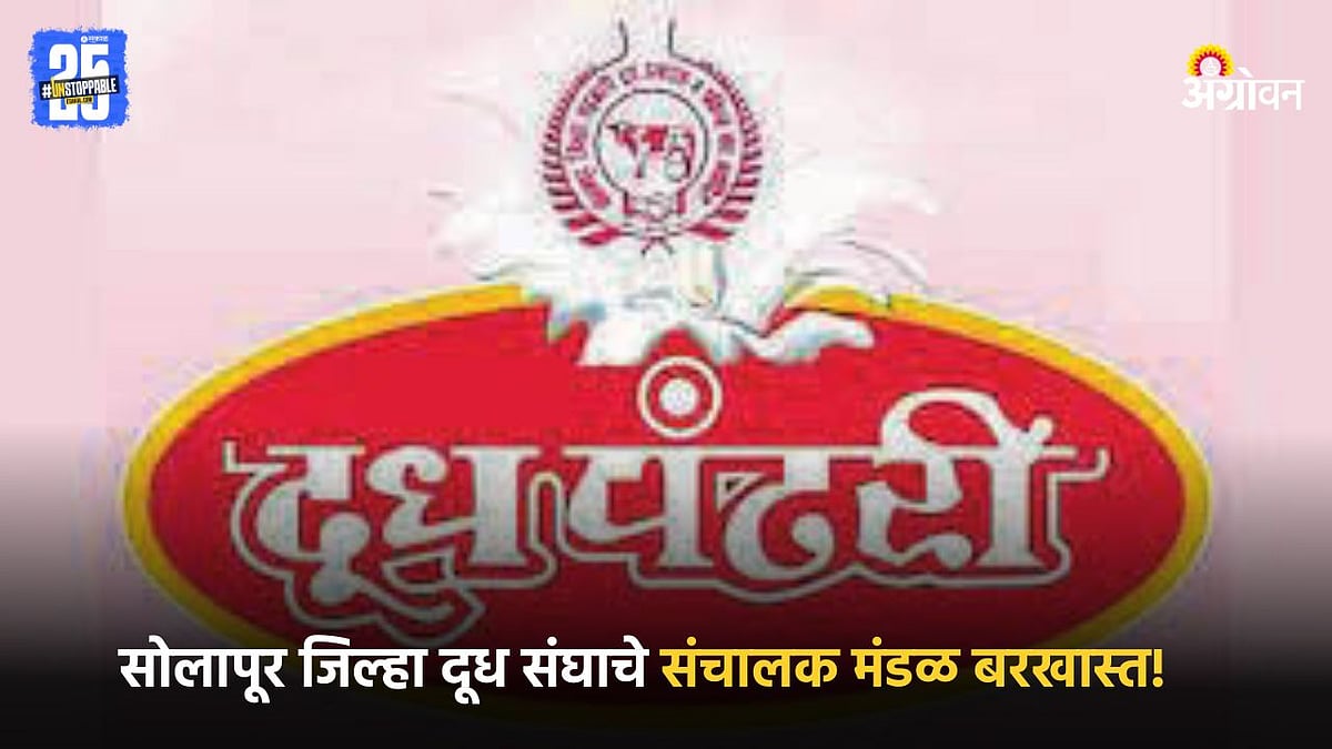 Solapur Milk Union | सोलापूर जिल्हा दूध संघाचे संचालक मंडळ बरखास्त! | Solapur Milk Union’s Board ...