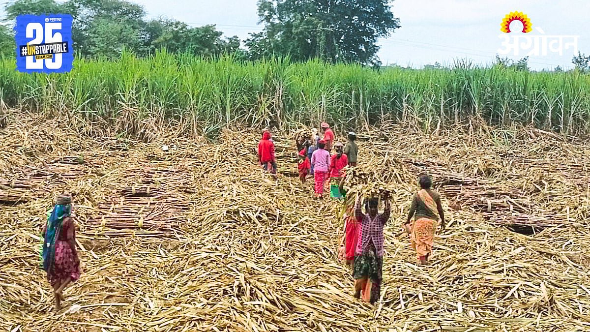 Aroggya Mitra Initiative । ऊसतोड कामगार महिलांसाठी ‘आरोग्य मित्र ...