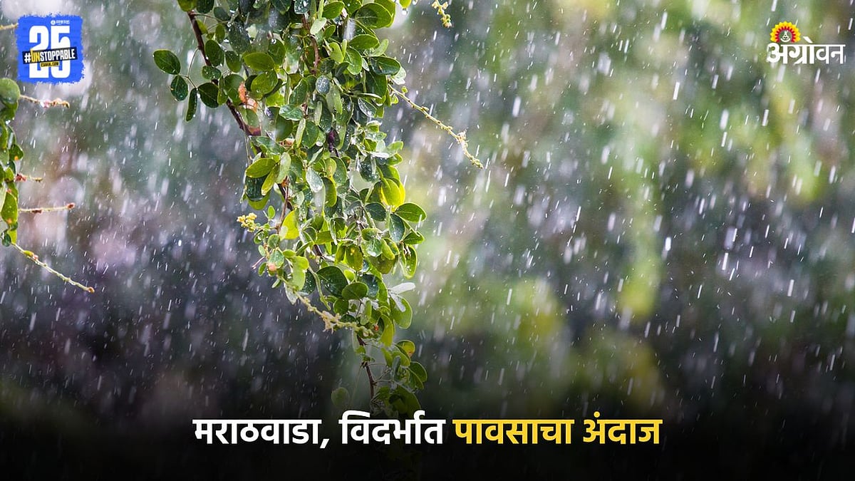 Rain Alert | मराठवाडा, विदर्भात पावसाचा अंदाज; राज्यातील बहुतांशी भागात ...