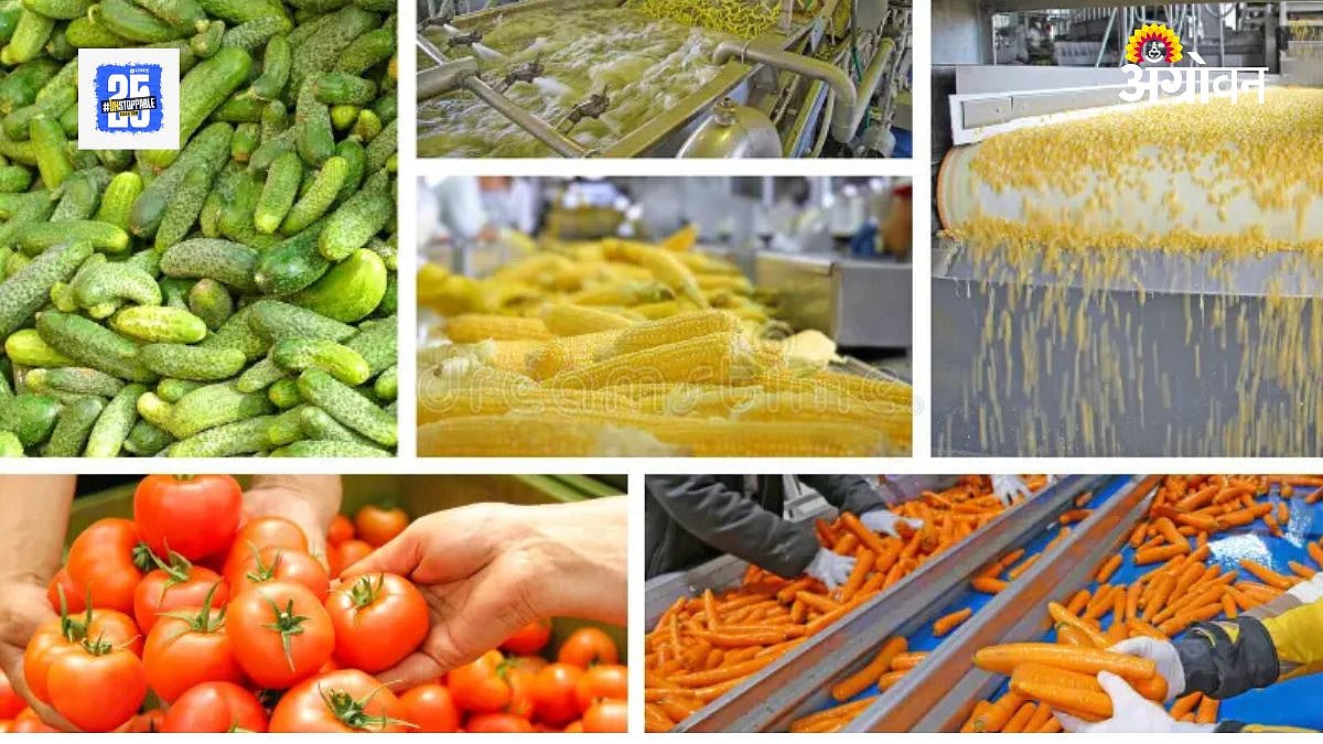Ministry of Food Processing Claims Reduction in Post-Harvest Losses of ...