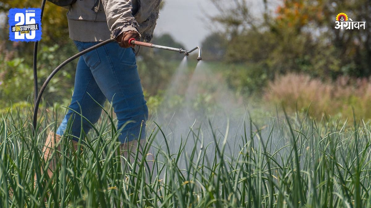 Crop Summer Care : कमी पाण्यात पिके जगविण्यासाठी वापरा केओलिन|Use ...