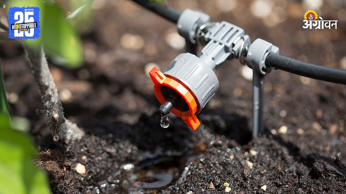 Drip Irrigation Fund | ठिबकसाठी ५०० कोटींचा खेळता निधी उभारा | Create a ...