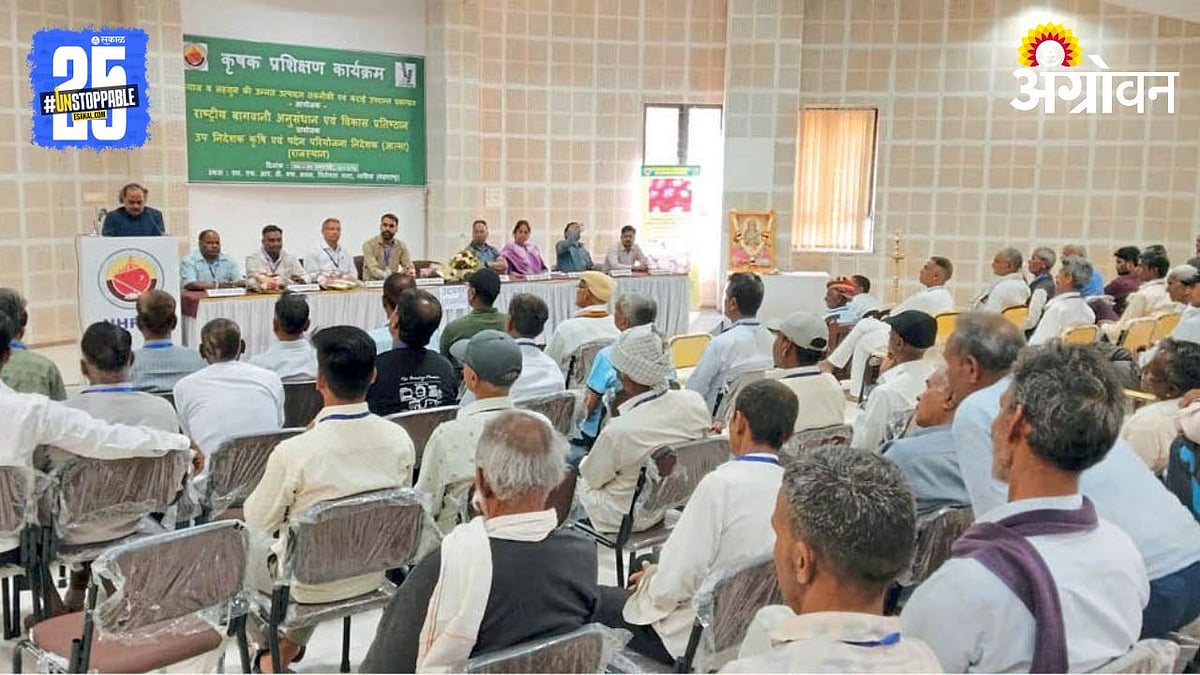 Onion Farming Training । राजस्थानच्या शेतकऱ्यांना कांदा उत्पादनाचे धडे ...