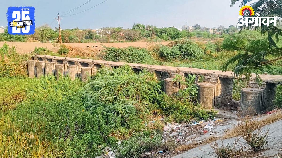 Kolhapuri Bandhara । कोल्हापुरी बंधाऱ्यांचे साडेअकरा हजार गेट गायब ...