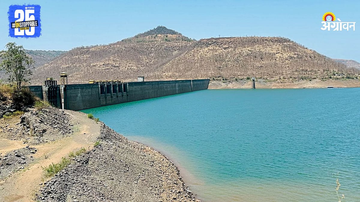 Dimbhe Dam | डिंभे धरणात तीन टीएमसी पाणीसाठा | Three TMC of water in ...